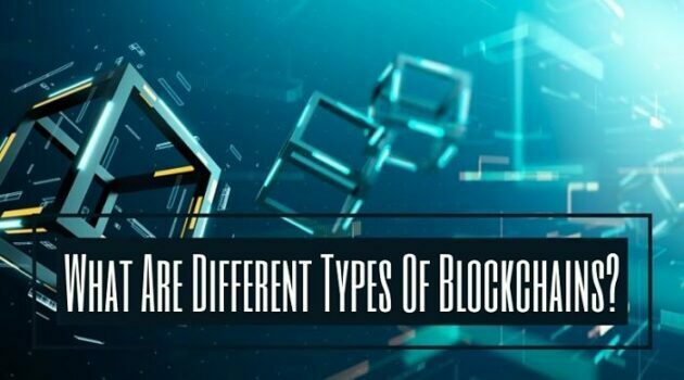 What Are Different Types Of Blockchains? - Coin FOMO